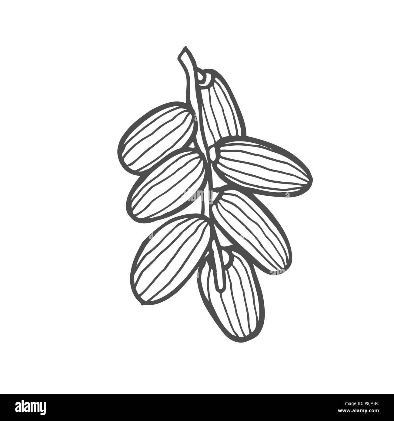 Abranchwithfruits hi-res stock photography and images - Alamy