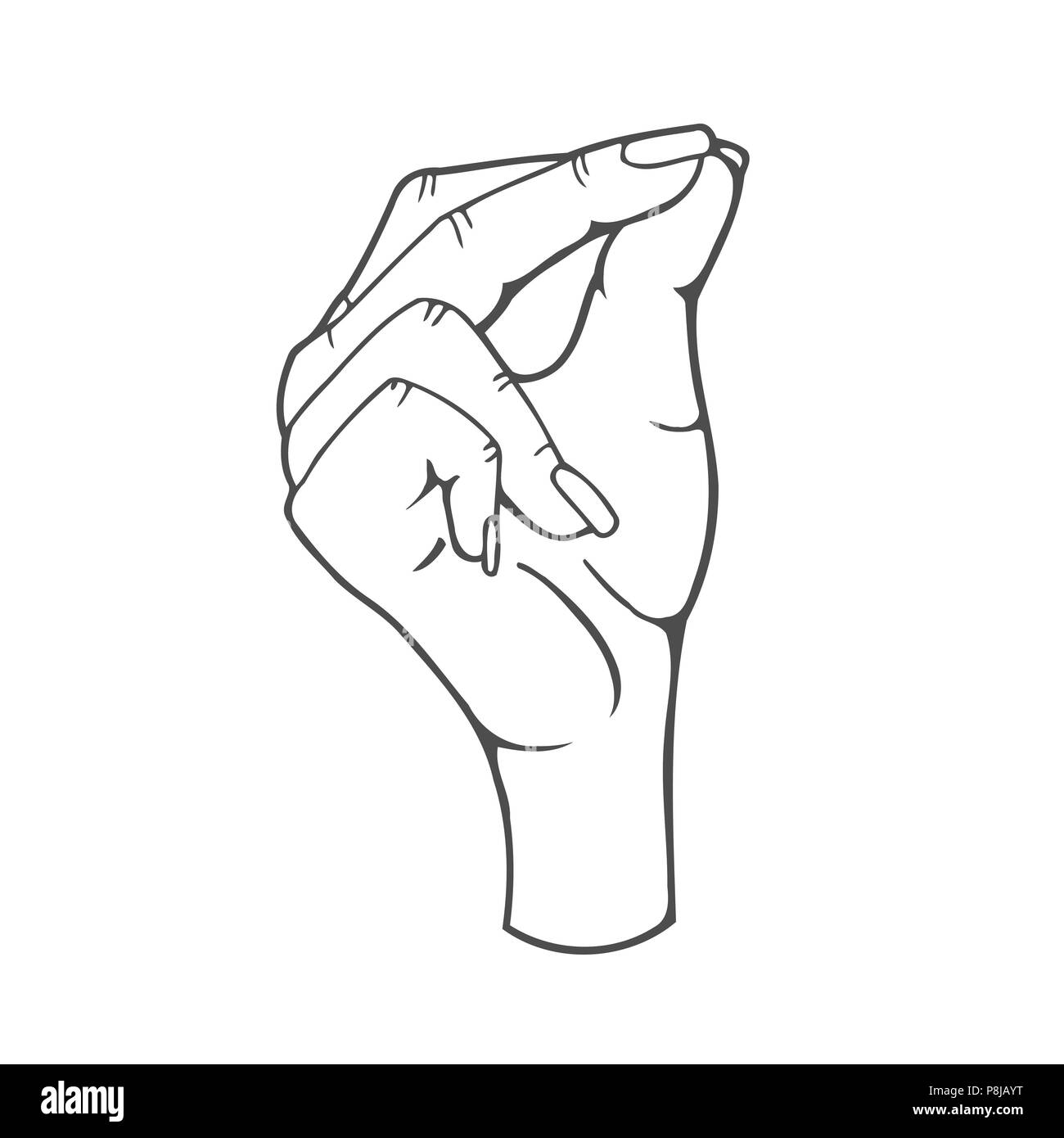 Hand ok sign illustration, drawing, engraving, ink, line art, vector ...