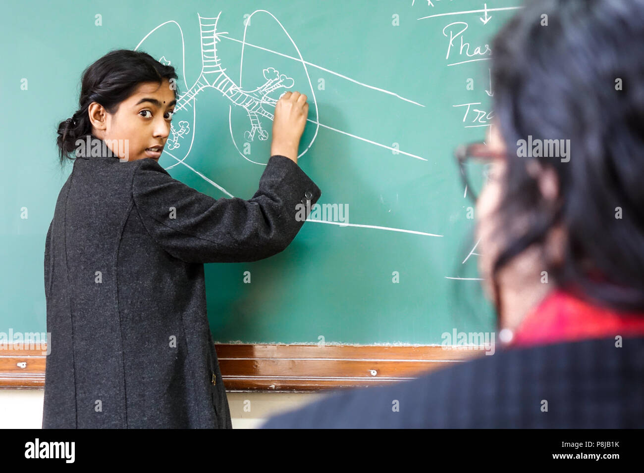 A young beautiful lady professor teaching and explaining science ...