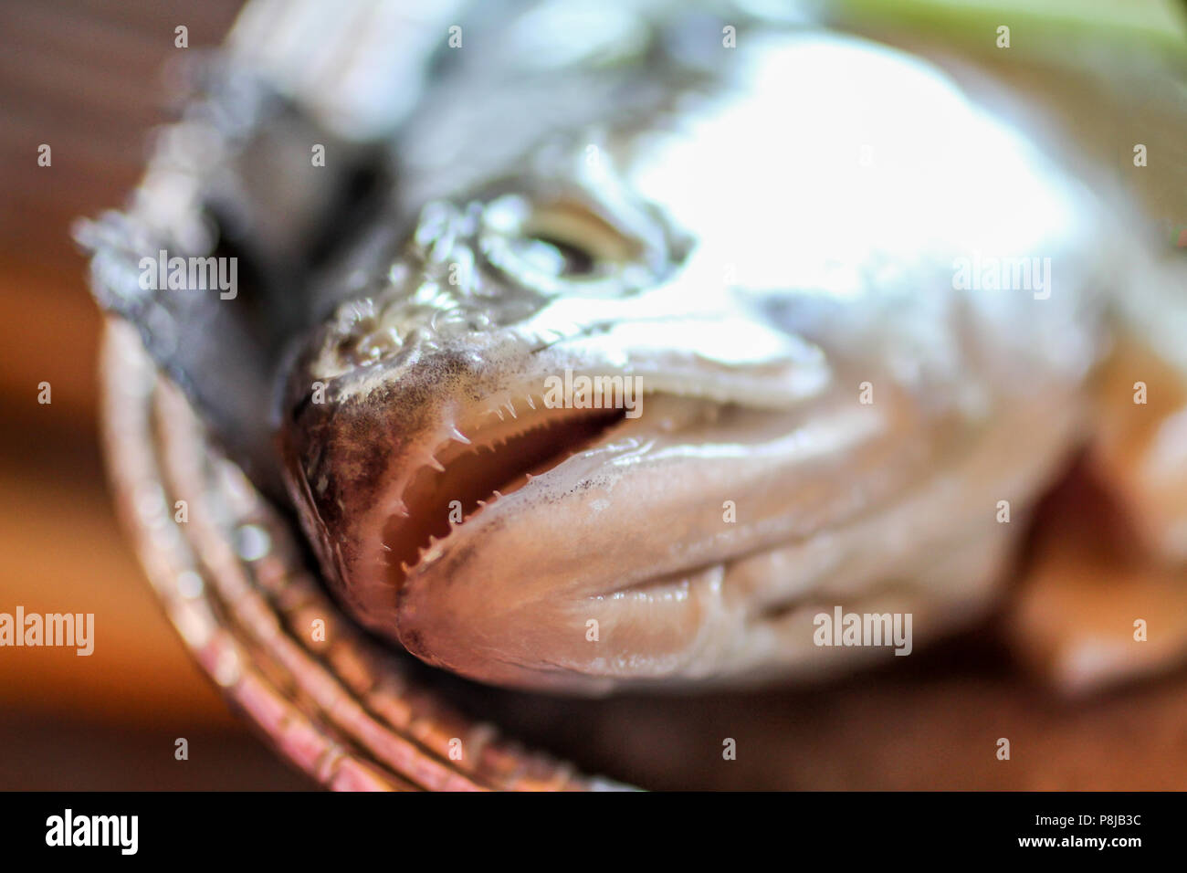 Head of a fresh fish with teeth and eye Stock Photo - Alamy