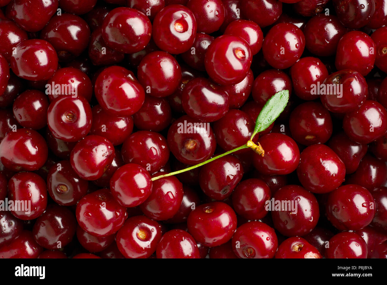 Pulpy texture hi-res stock photography and images - Alamy