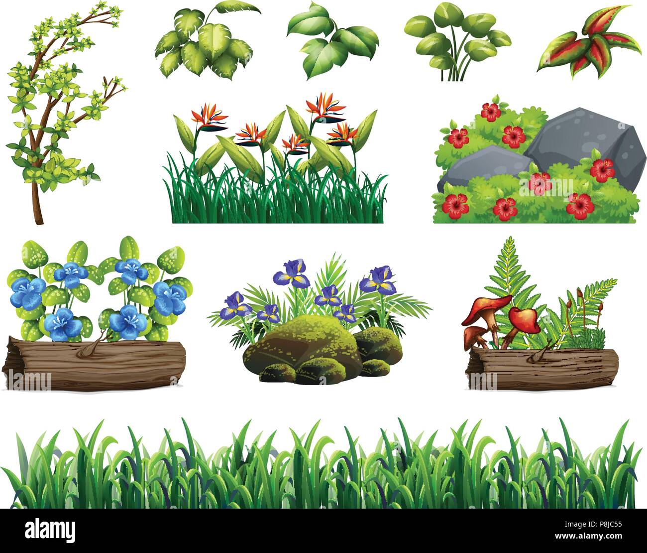 A Set of Forest Element illustration Stock Vector Image & Art - Alamy