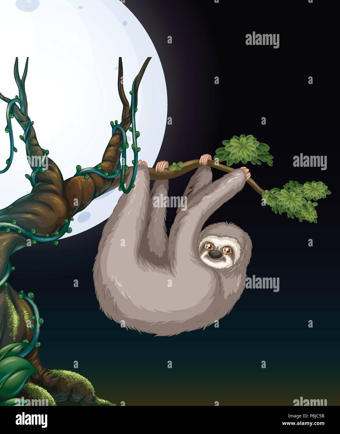 Sloth at Tree Branch at Night illustration Stock Vector Image & Art - Alamy