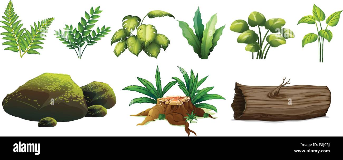 A Set of Forest Element illustration Stock Vector Image & Art - Alamy