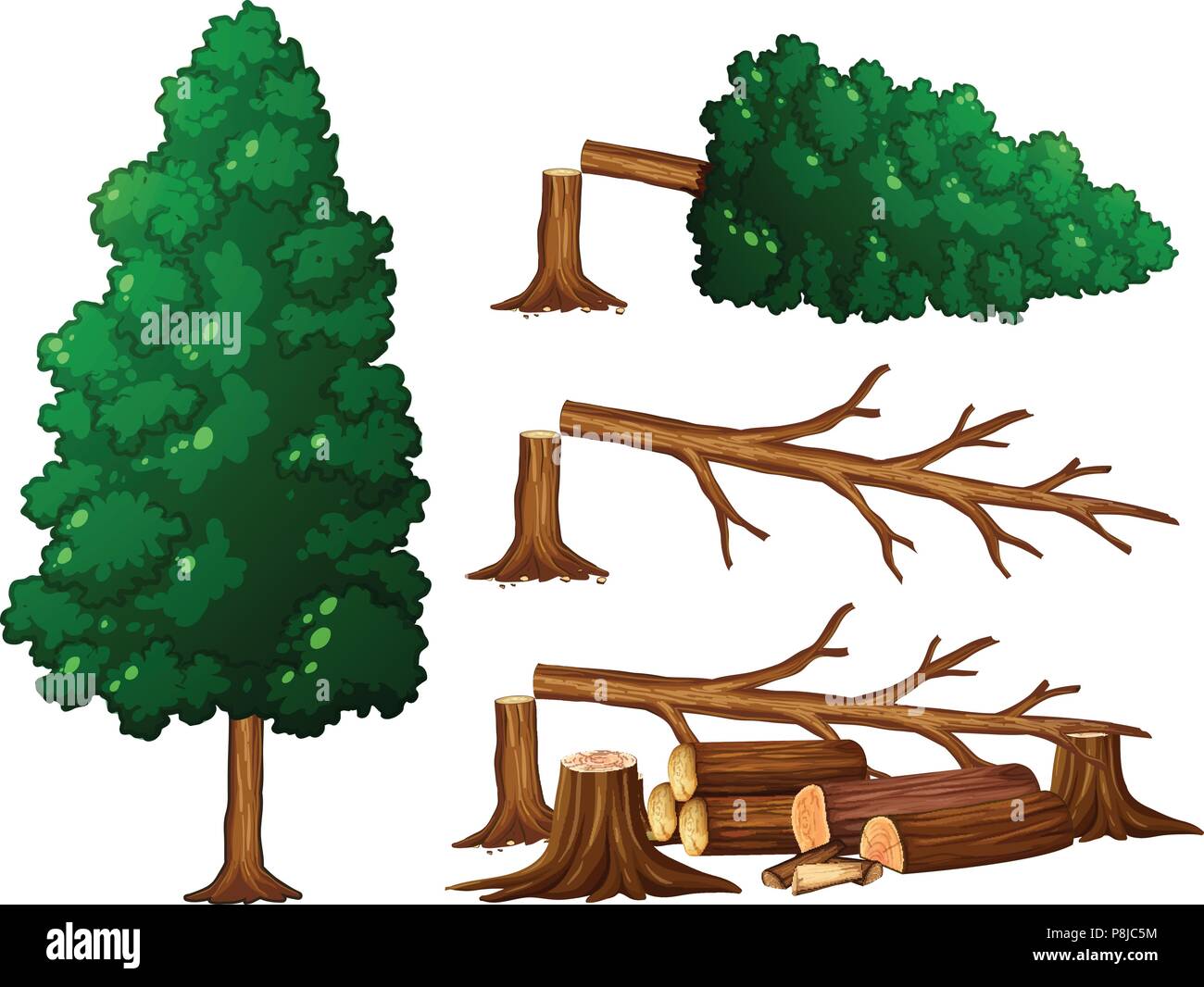 A Set of Tree and Wood illustration Stock Vector Image & Art - Alamy