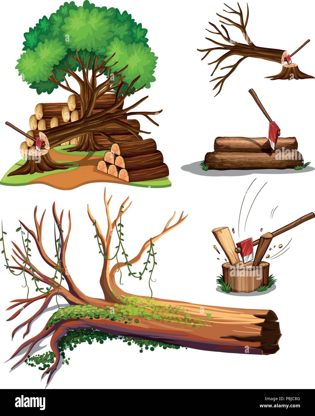 A Set of Tree Being Cut illustration Stock Vector Image & Art - Alamy