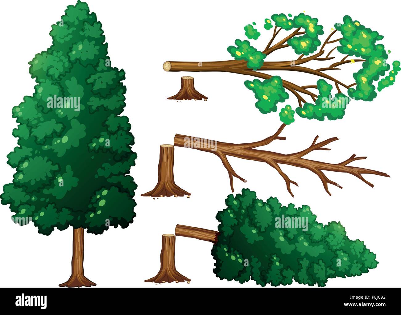 A Set of Tree Being Cut illustration Stock Vector Image & Art - Alamy