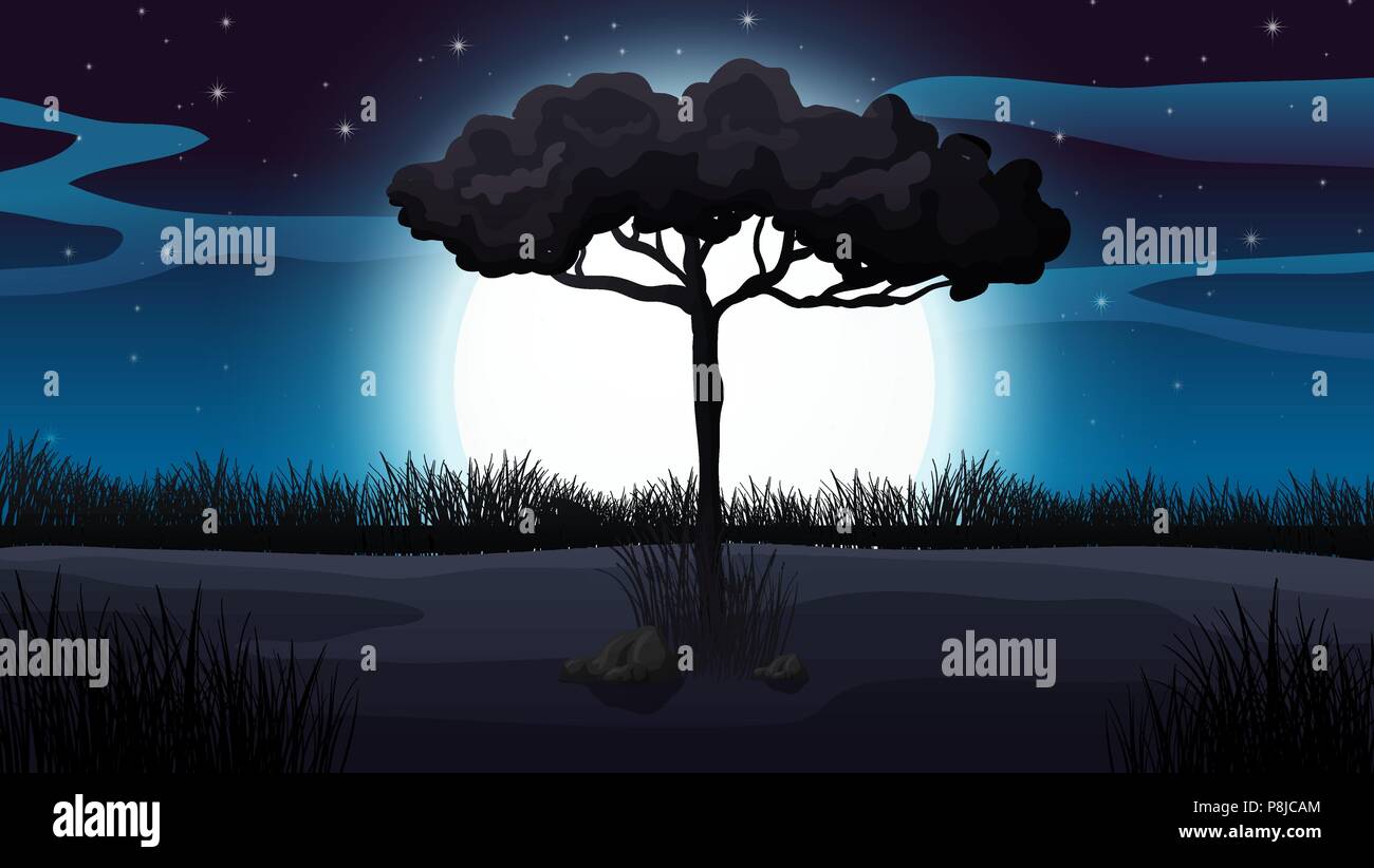 Forest and Moonlight Scene illustration Stock Vector Image & Art - Alamy