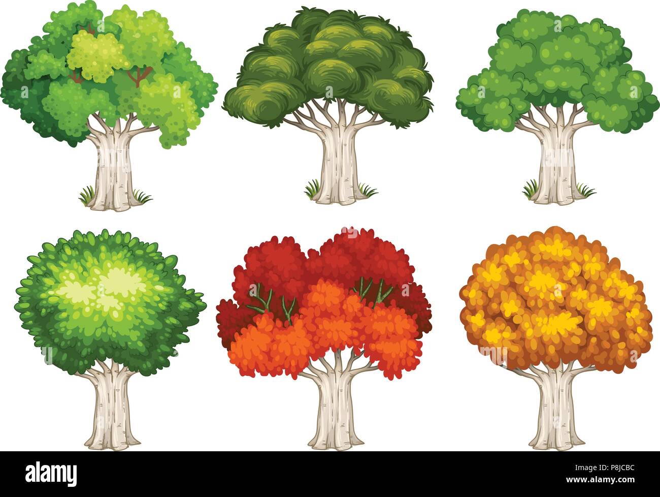 A Set of Tree illustration Stock Vector Image & Art - Alamy