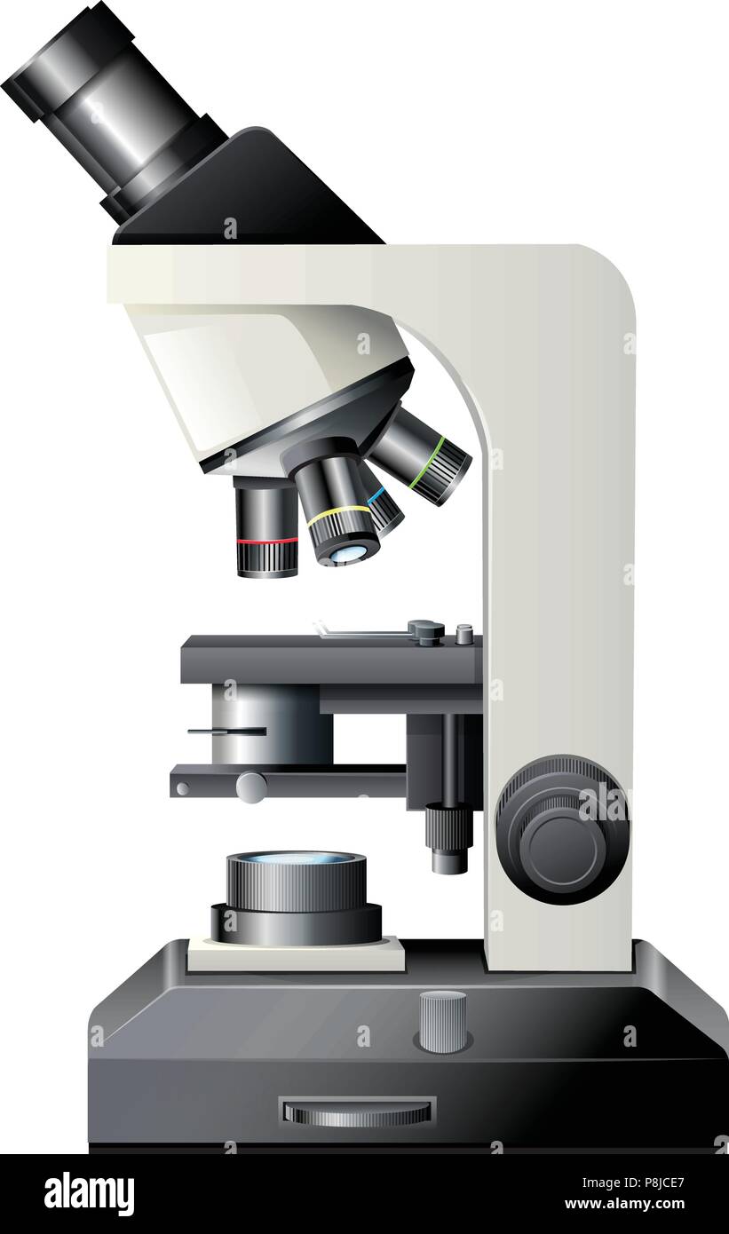 Microscopic study Stock Vector Images - Alamy