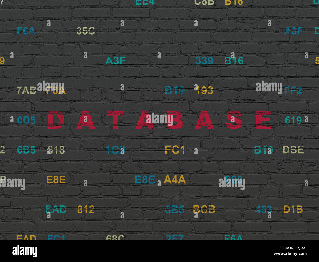 Software concept: Database on wall background Stock Photo - Alamy
