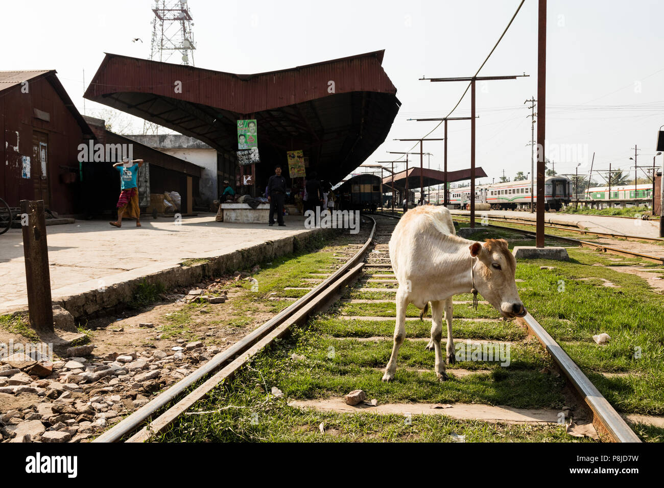 Cow tracks hi-res stock photography and images - Alamy