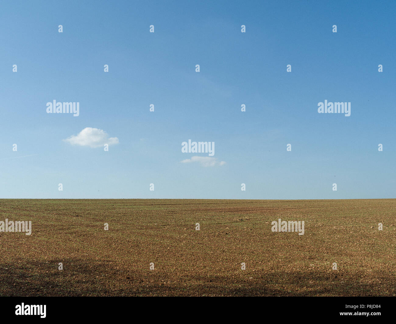Minimal grass landscape hi-res stock photography and images - Alamy