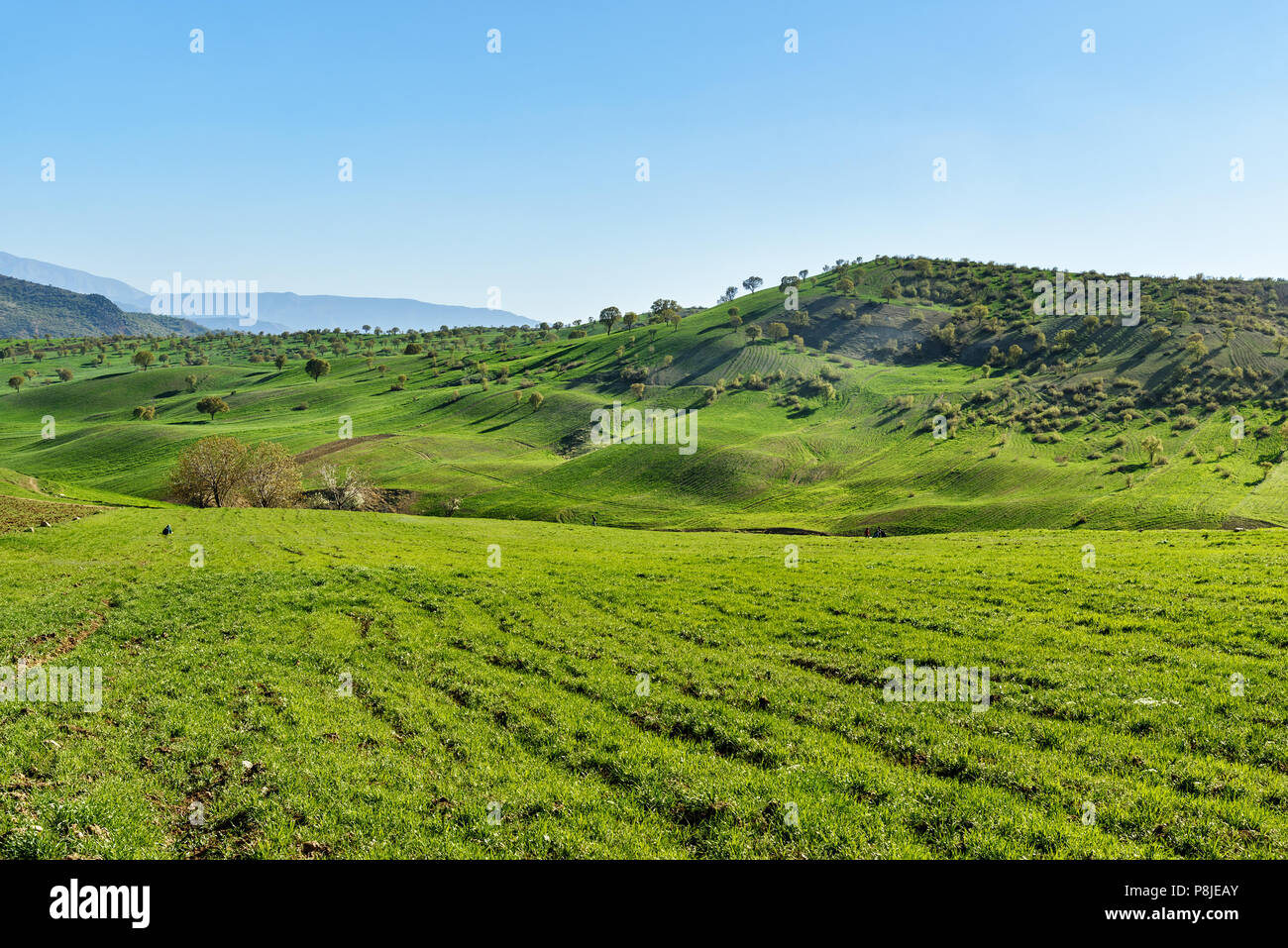 Iran mountains hi-res stock photography and images - Alamy