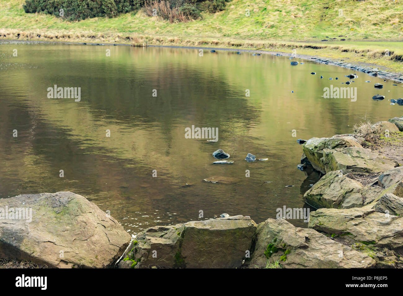 Scottish pond hi-res stock photography and images - Alamy