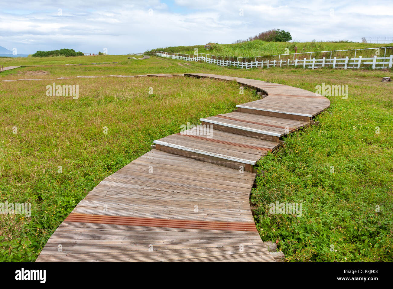 S-shape curve wooden footpath in grass, Mambo (Ocean Sunfish) Oceanic ...