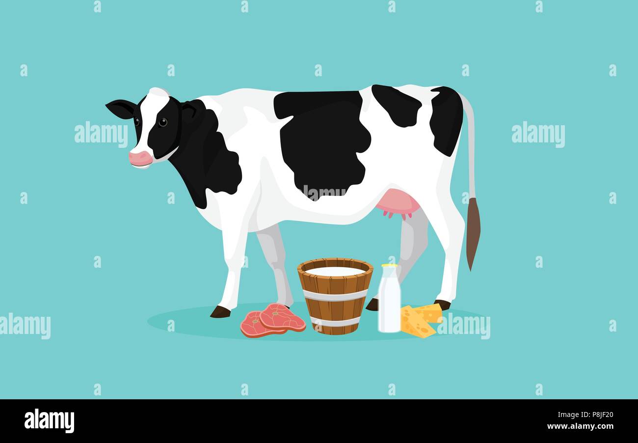 cow farm production with meat milk and cheese vector graphic ...