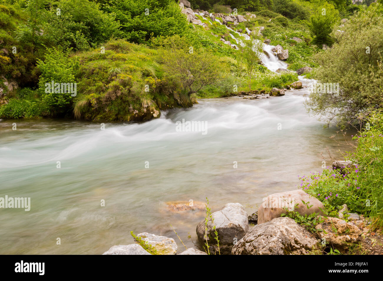 Waterfall in the Cares River located in the Picos de Europa National ...