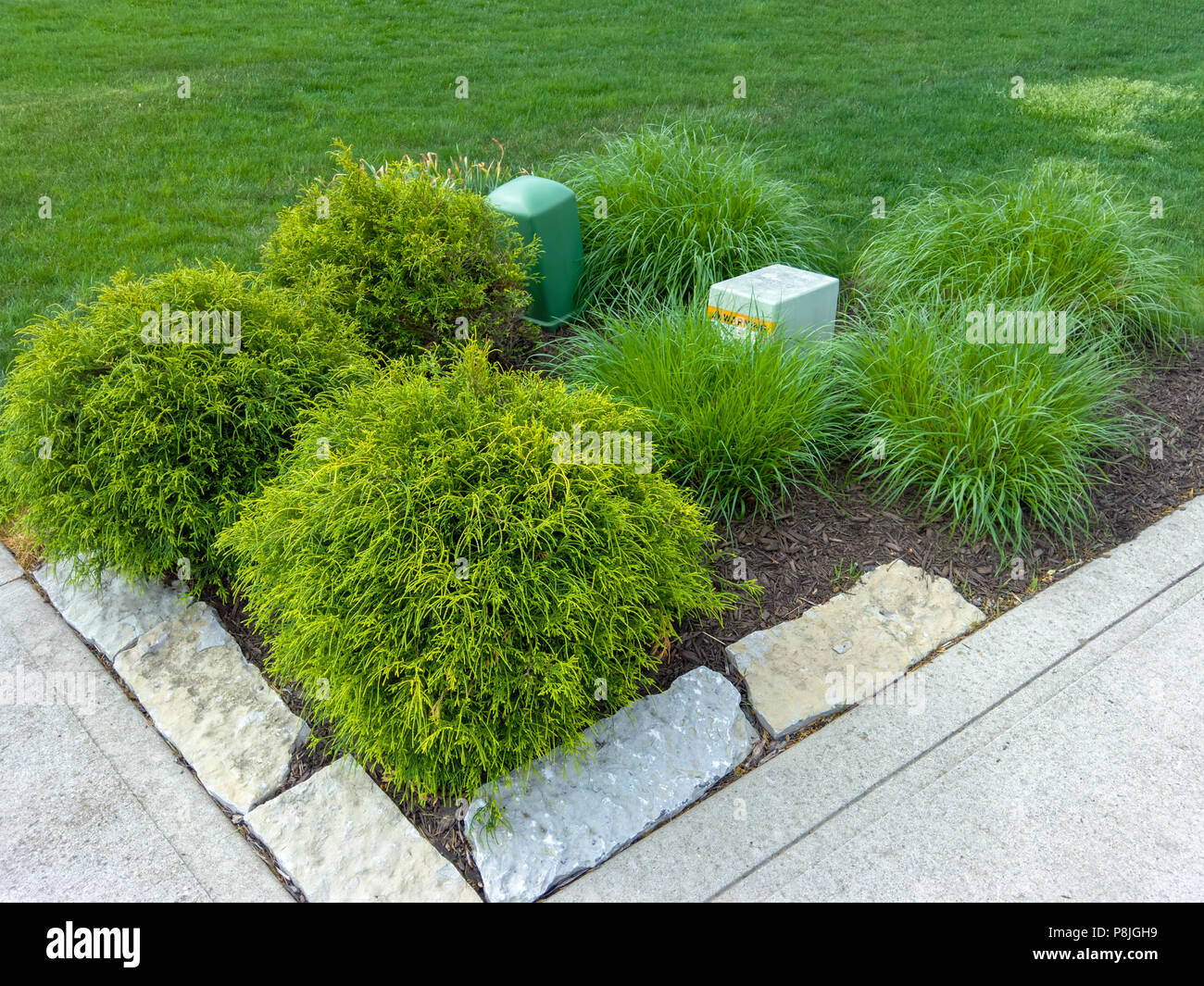 Neatly concealed electric power boxes among ornamental green plants on ...