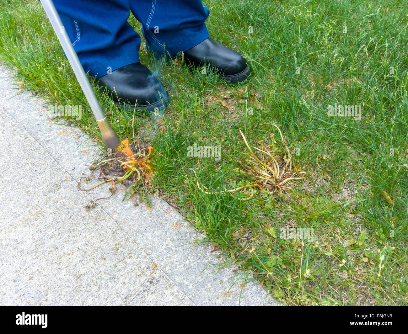 Weed burner hi-res stock photography and images - Alamy