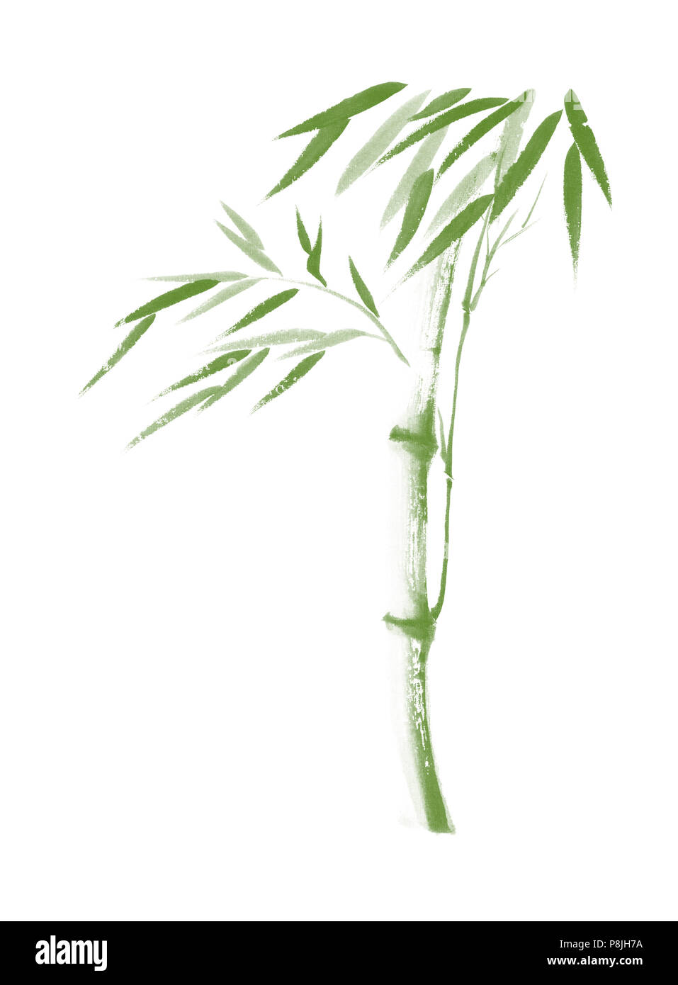 Bamboo cut detail Cut Out Stock Images & Pictures - Alamy