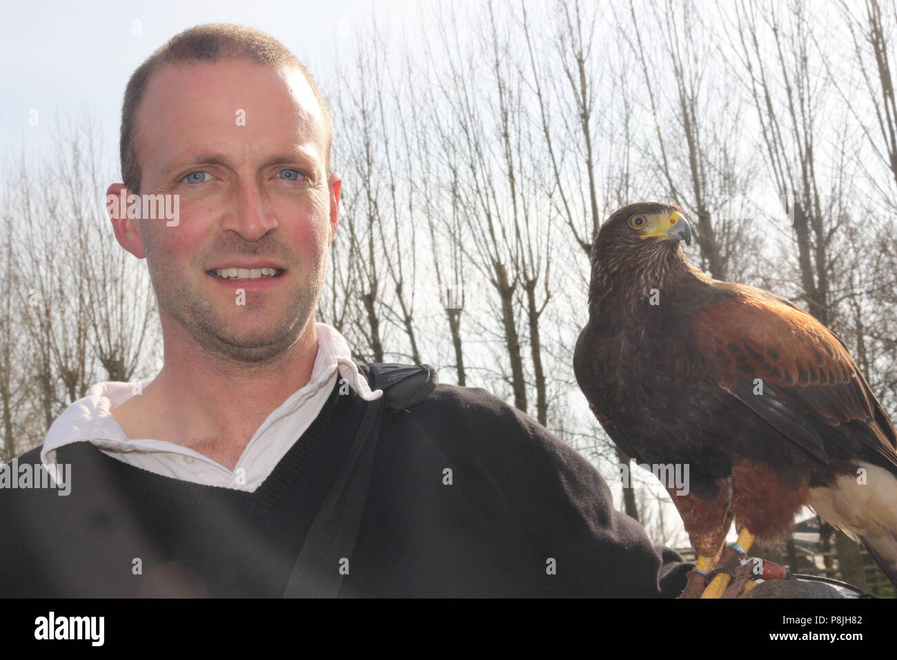 Falconry days experience hi-res stock photography and images - Alamy