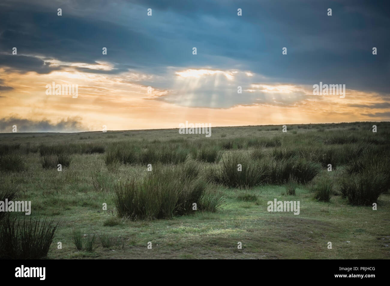 Light mood over moorland hi-res stock photography and images - Alamy