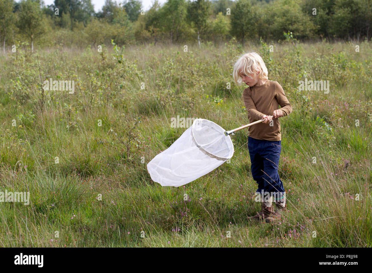 Young dragonflies hi-res stock photography and images - Alamy