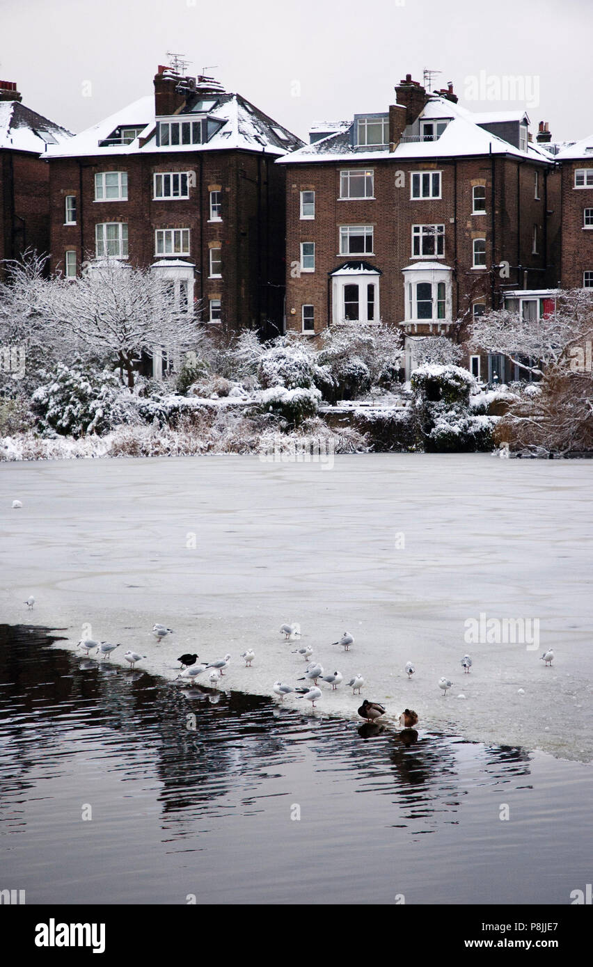 Heath City Water Park High Resolution Stock Photography and Images - Alamy