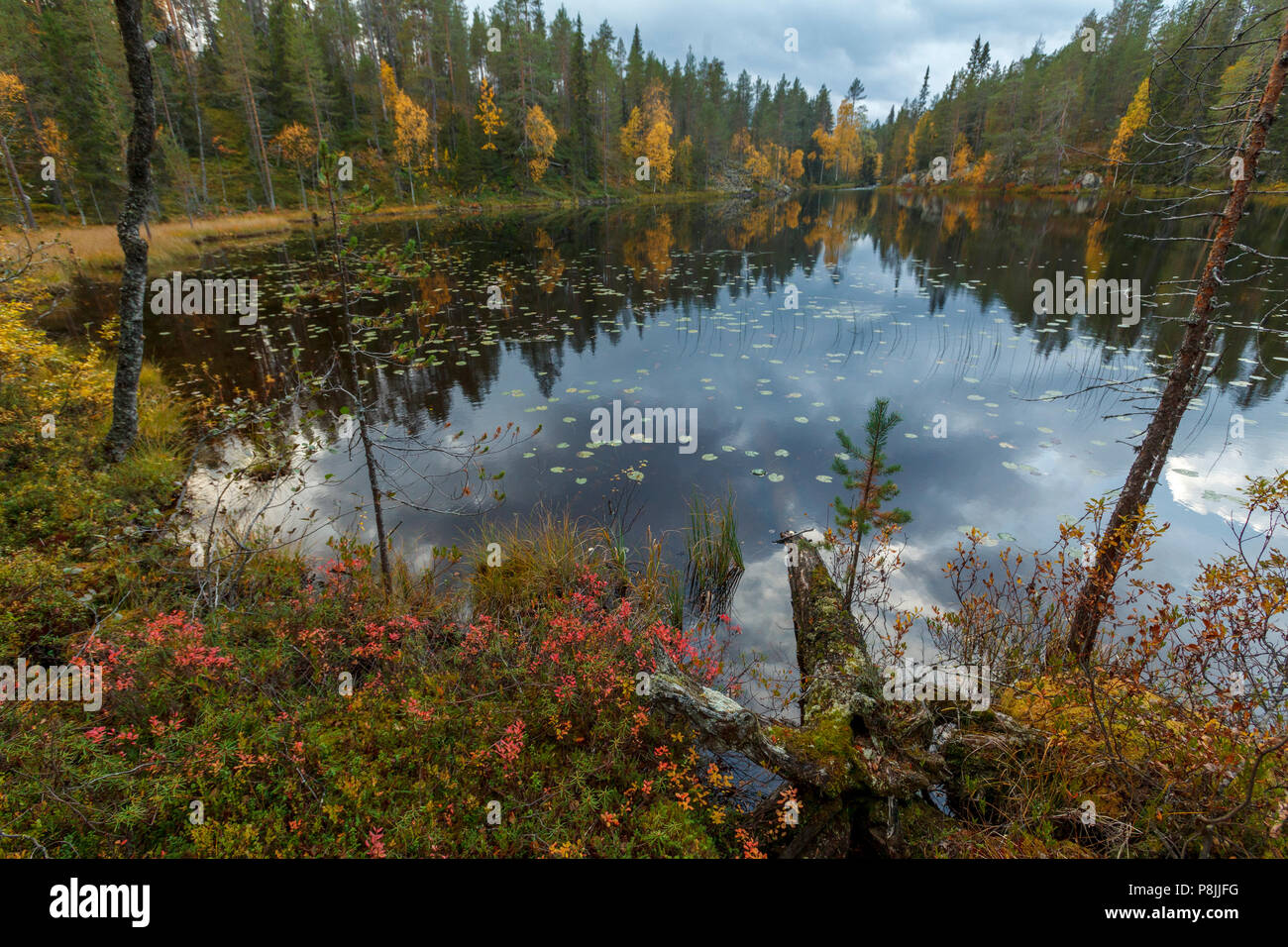 Hossa High Resolution Stock Photography and Images - Alamy