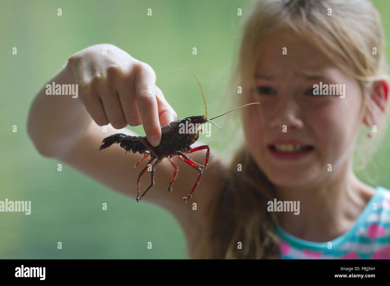 Scared fauna hi-res stock photography and images - Alamy