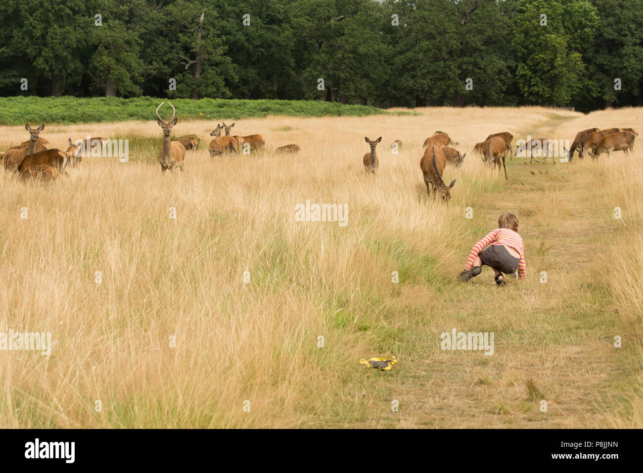Ambushing hi-res stock photography and images - Alamy