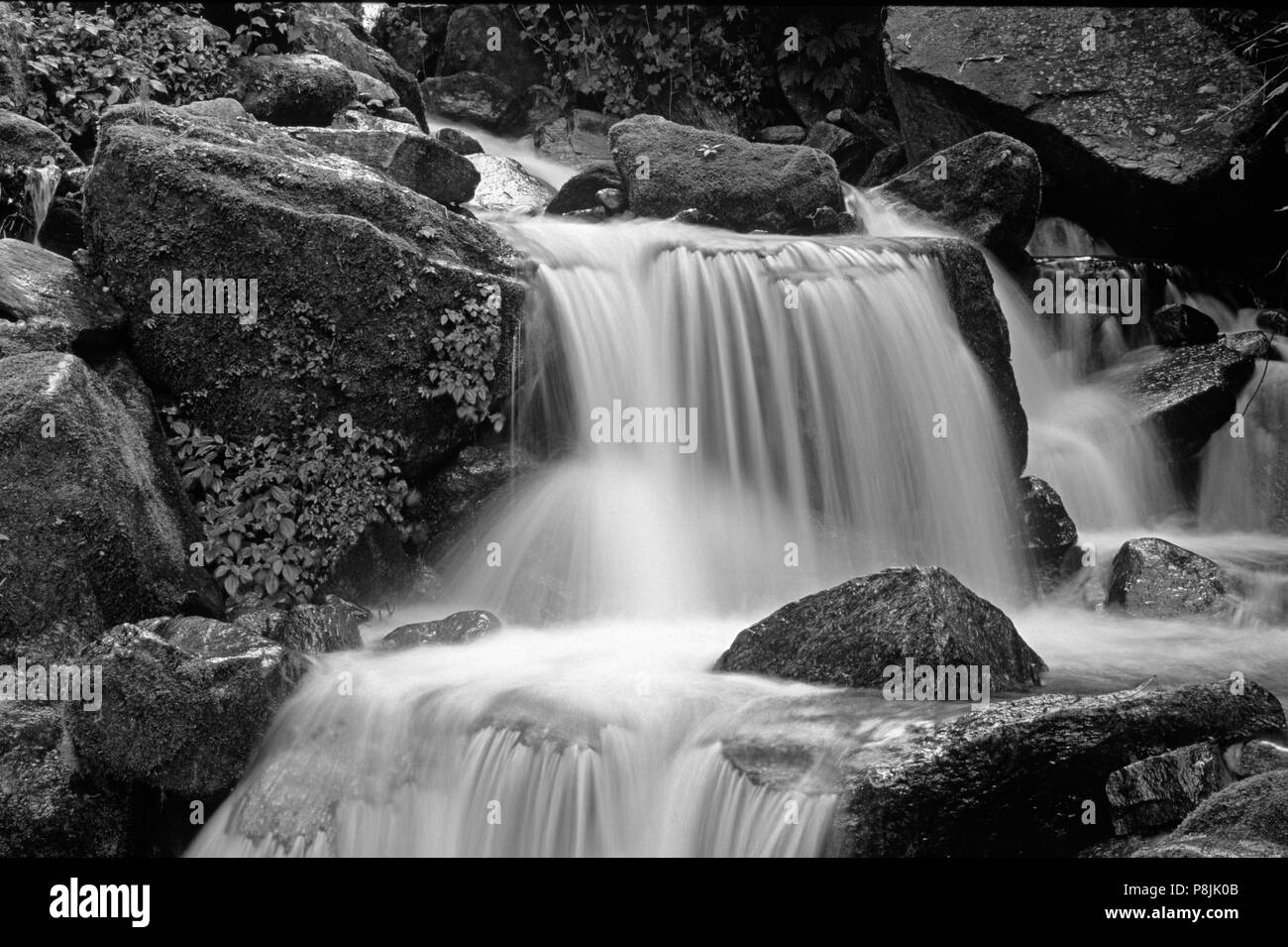 One of hundreds of CREEKS which drain into the mighty ARUN RIVER on ...