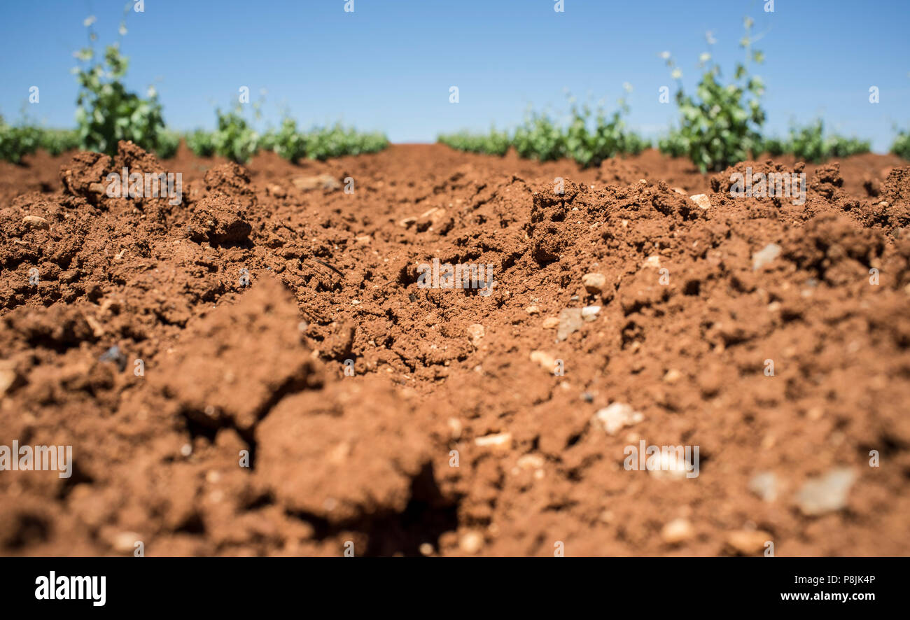 Unique fertile land hi-res stock photography and images - Alamy