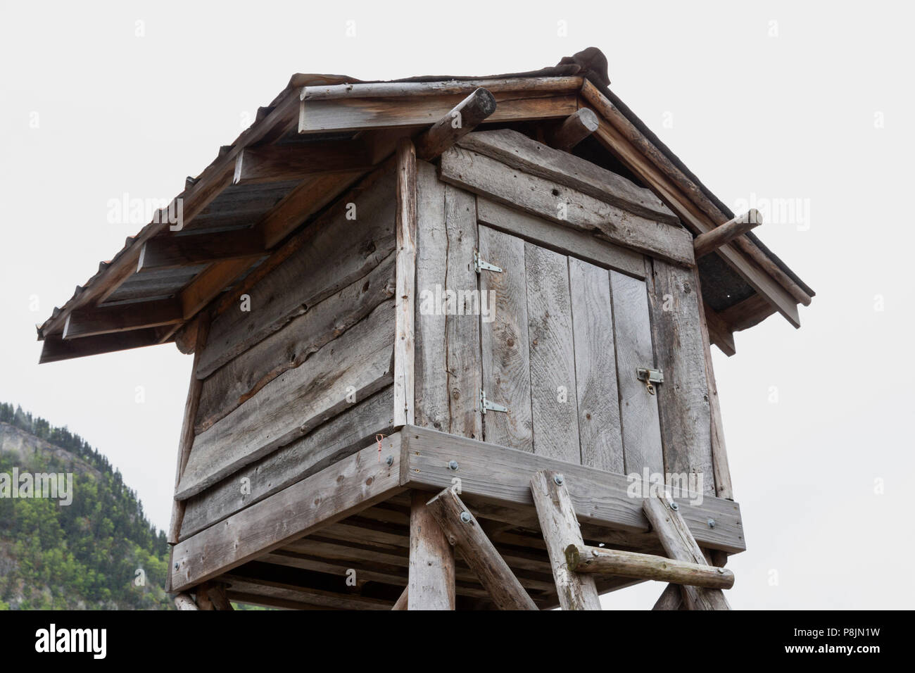 Alaskan bear cache hi-res stock photography and images - Alamy