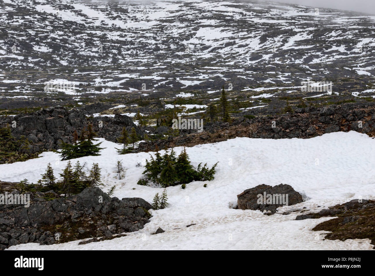 Tormented Valley, Skagway, Alaska, United States, USA, Tuesday, May 22 ...