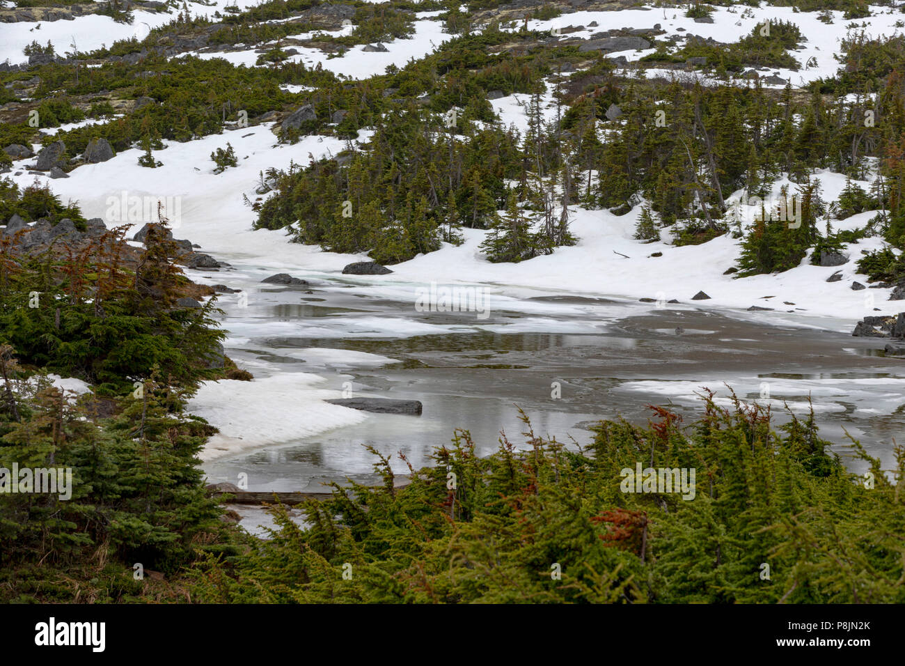 Tormented Valley, Skagway, Alaska, United States, USA, Tuesday, May 22 ...