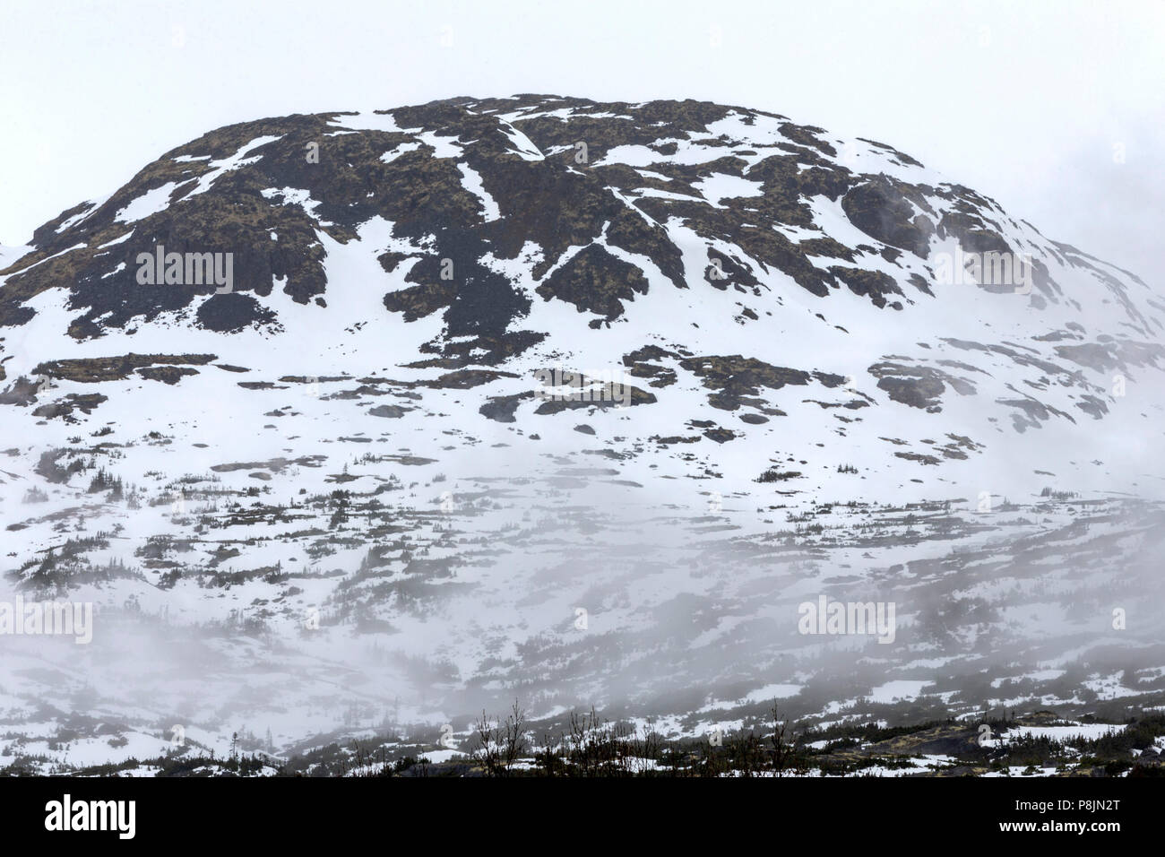 Tormented Valley, Skagway, Alaska, United States, USA, Tuesday, May 22 ...