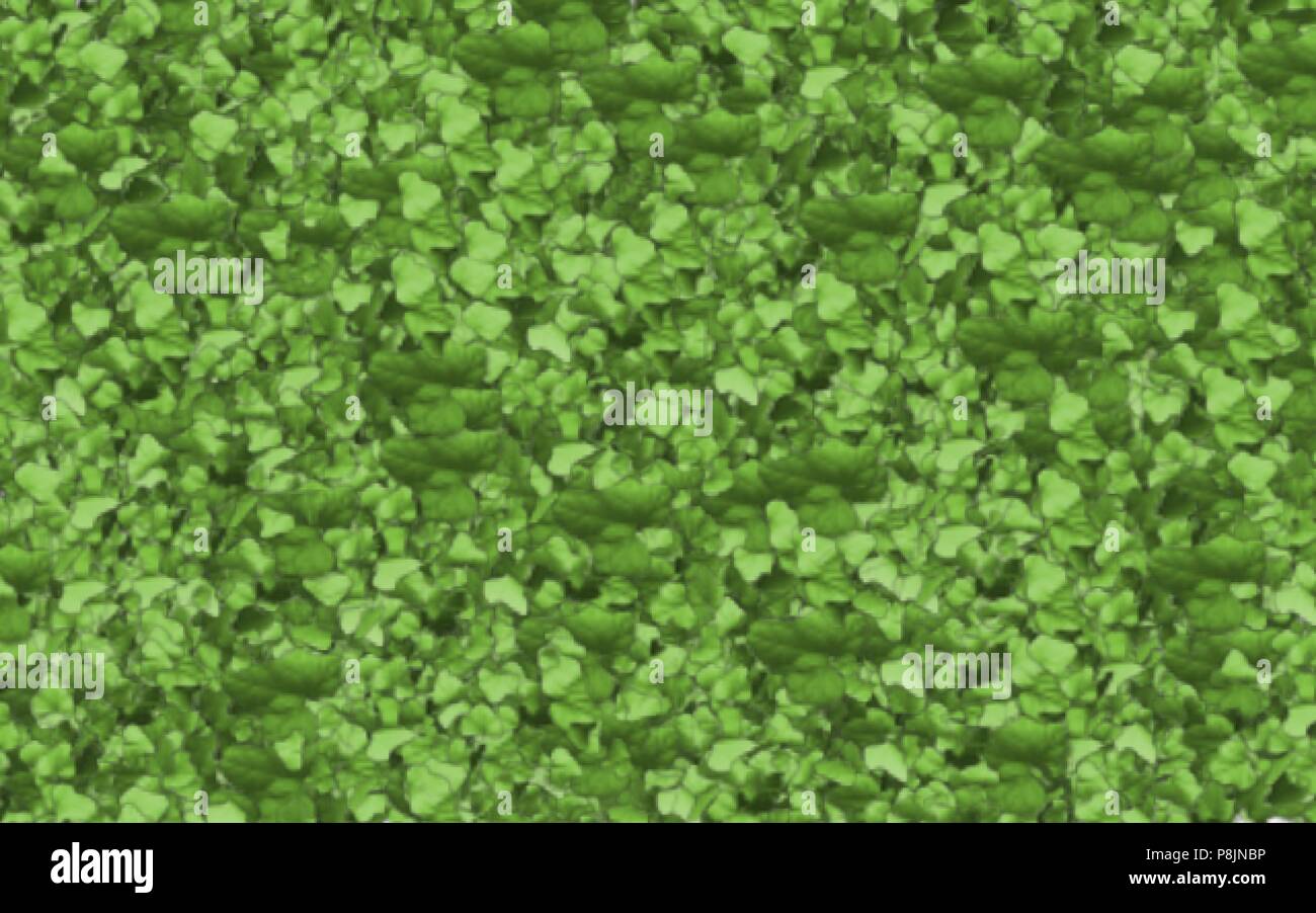 Background view green leaves Stock Vector Images - Alamy