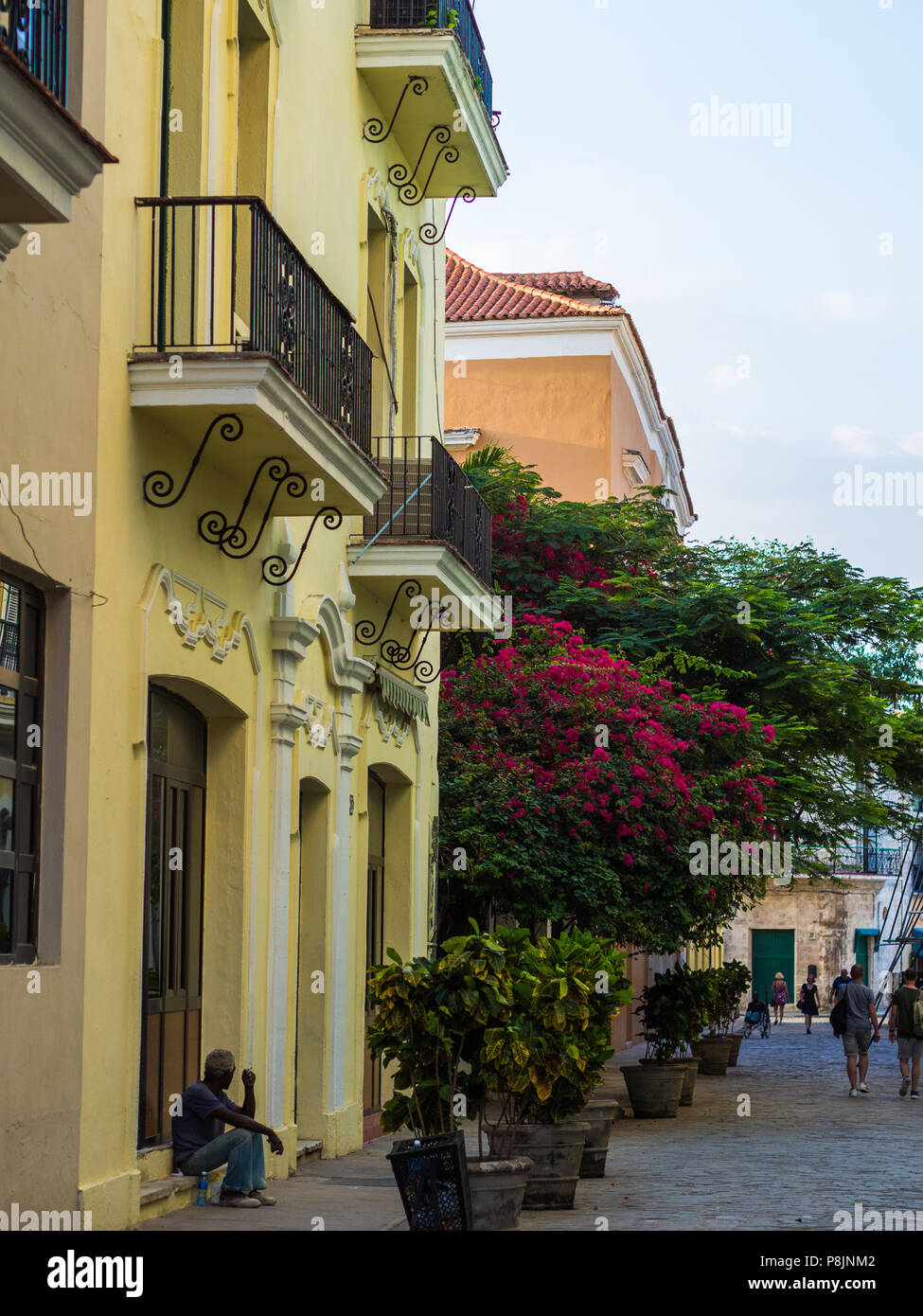 Havana streets with bright colours and cuban flags in sunny day Stock ...