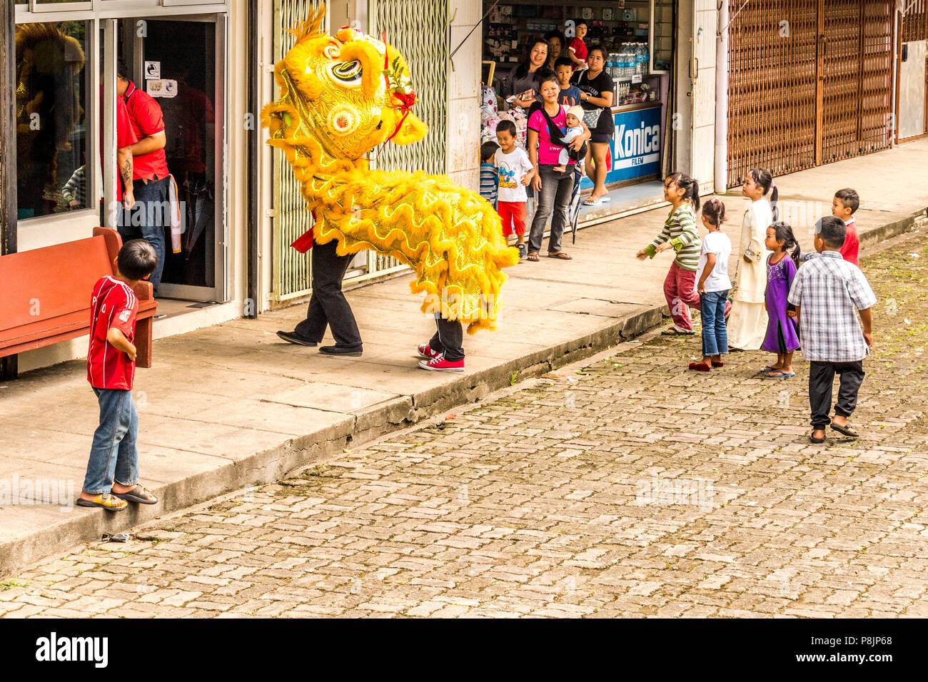 Shouting lion hi-res stock photography and images - Alamy