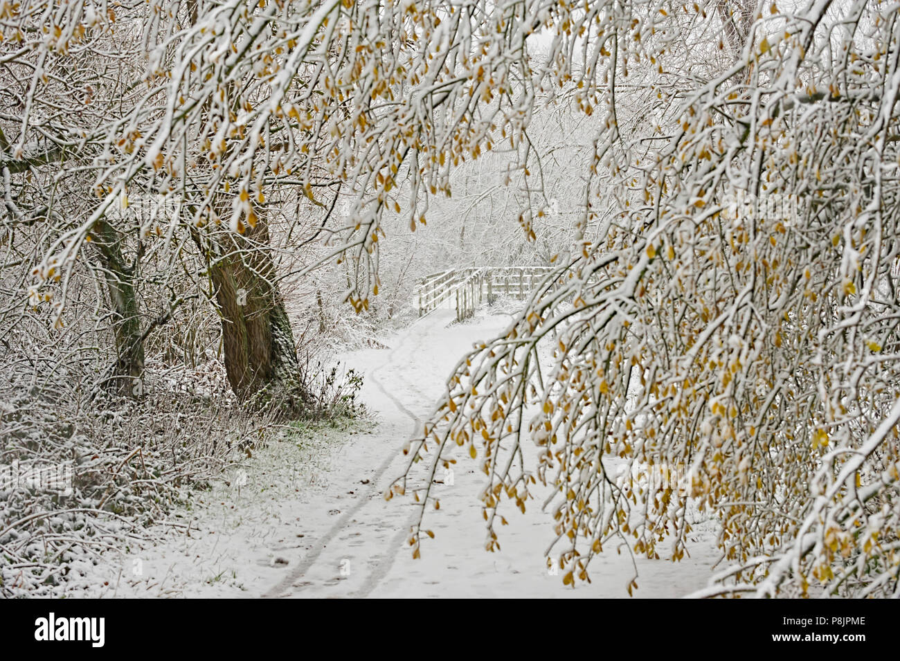Frogmore gravel pits hi-res stock photography and images - Alamy