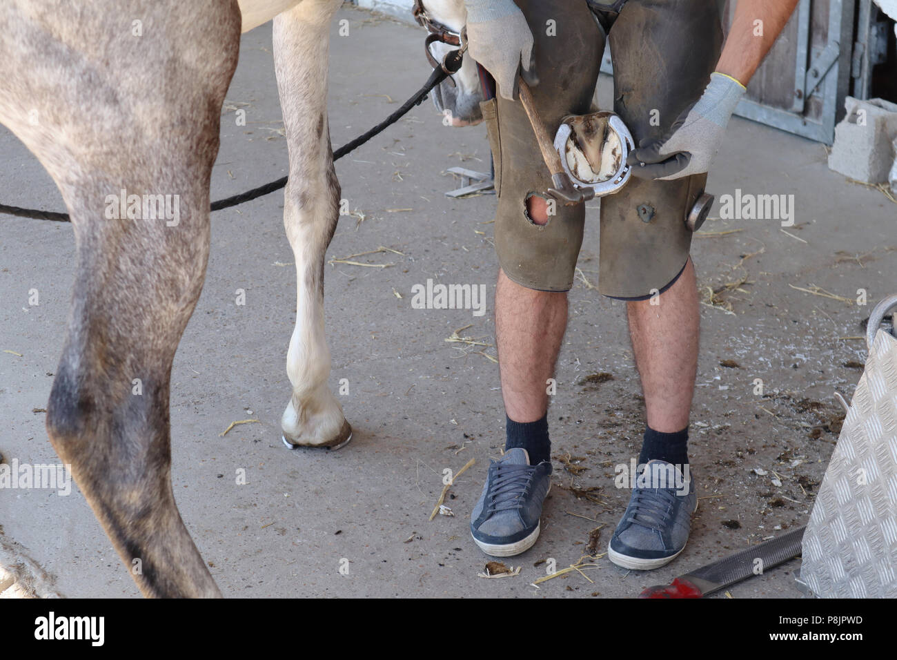 Equestrian farrier hi-res stock photography and images - Alamy