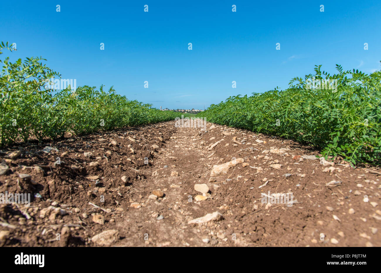 Humus production hi-res stock photography and images - Alamy