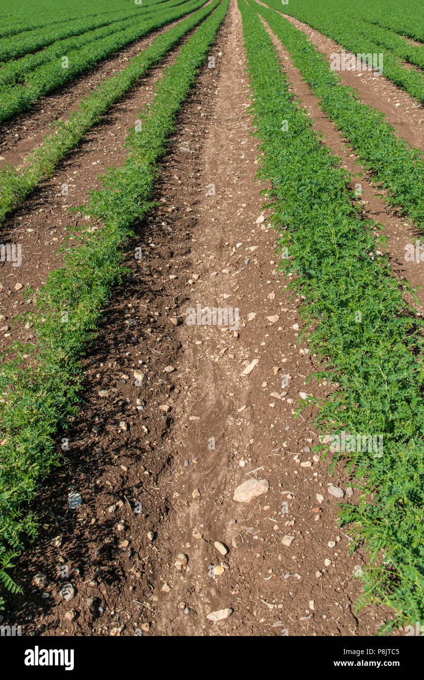 Humus production hi-res stock photography and images - Alamy