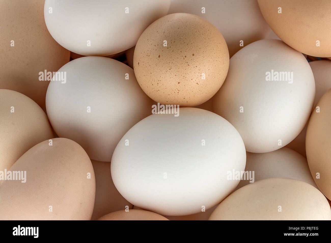 Small group of eggs of different colours Stock Photo - Alamy