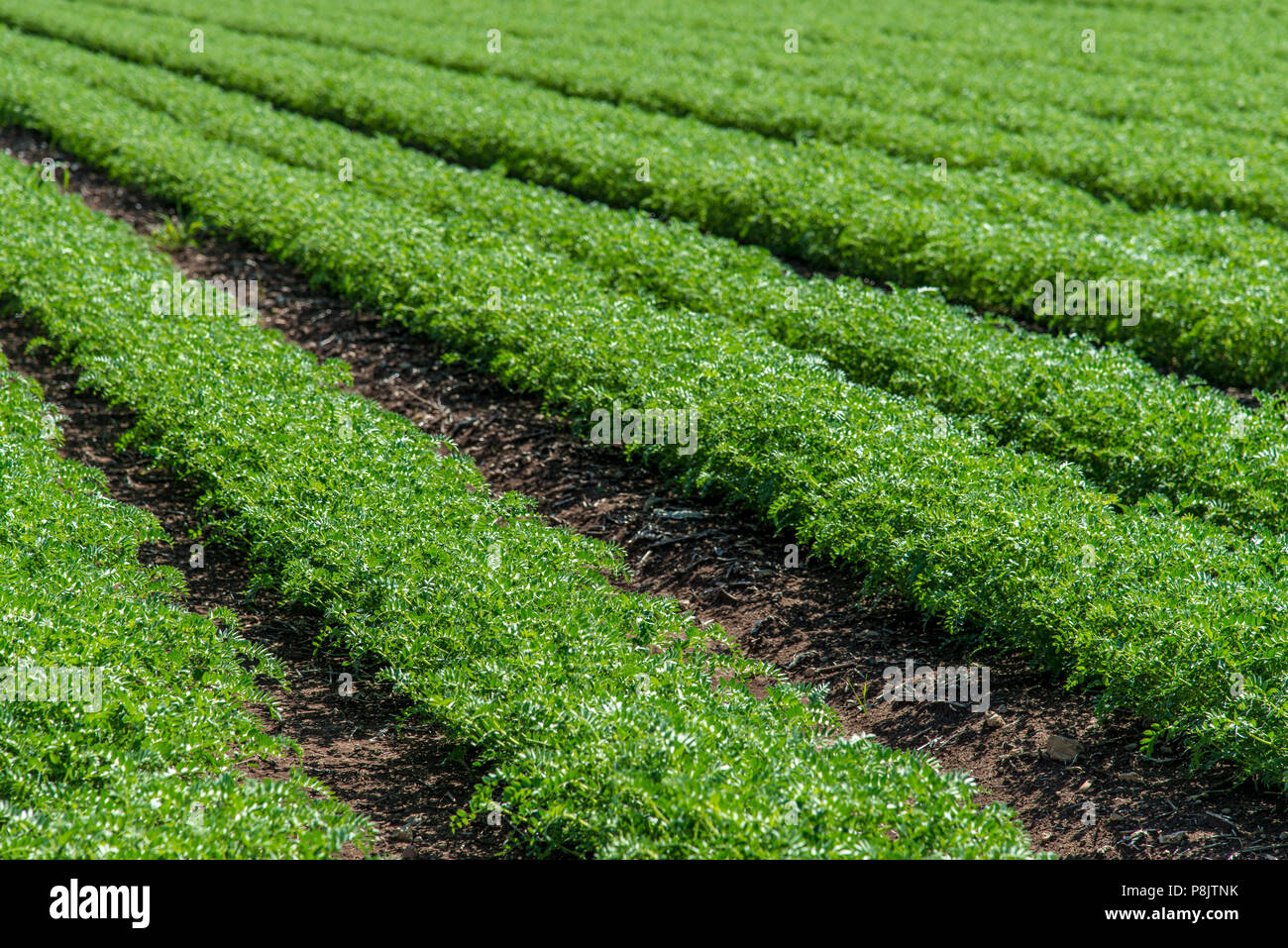 Humus production hi-res stock photography and images - Alamy