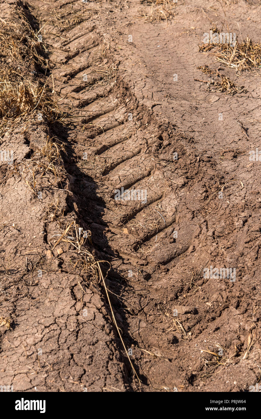 Mud background hi-res stock photography and images - Alamy