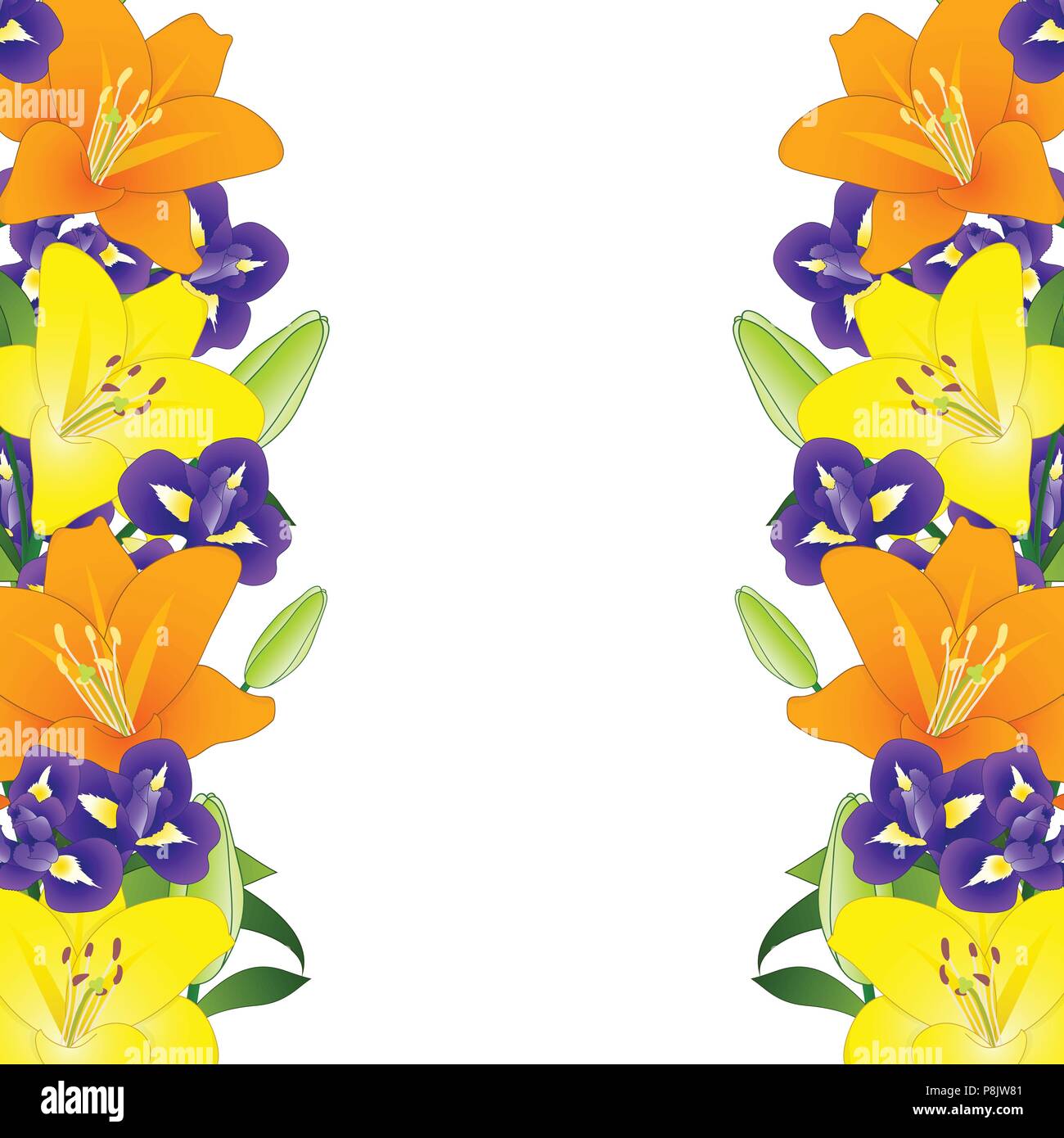 Yellow, Orange Lily and Blue Iris Flower Border on White Background ...