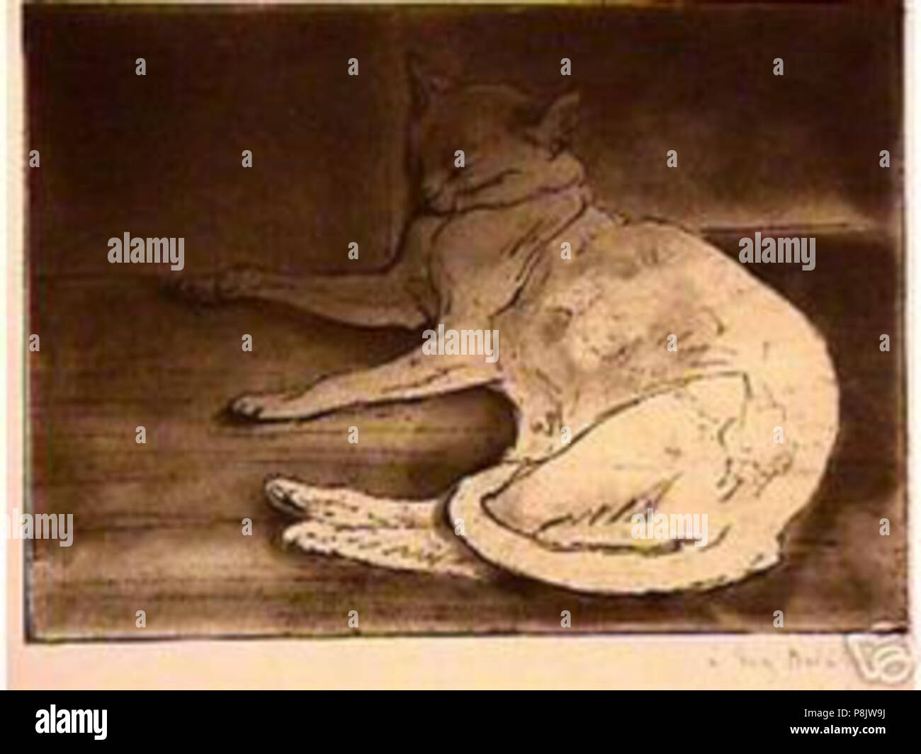 Cat etching hi-res stock photography and images - Alamy